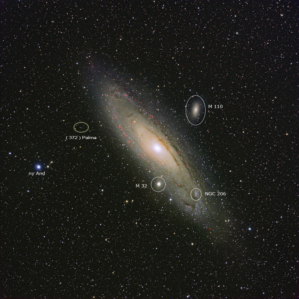 Andromeda-Galaxie M31 mit Begleitgalaxien M32 und M110